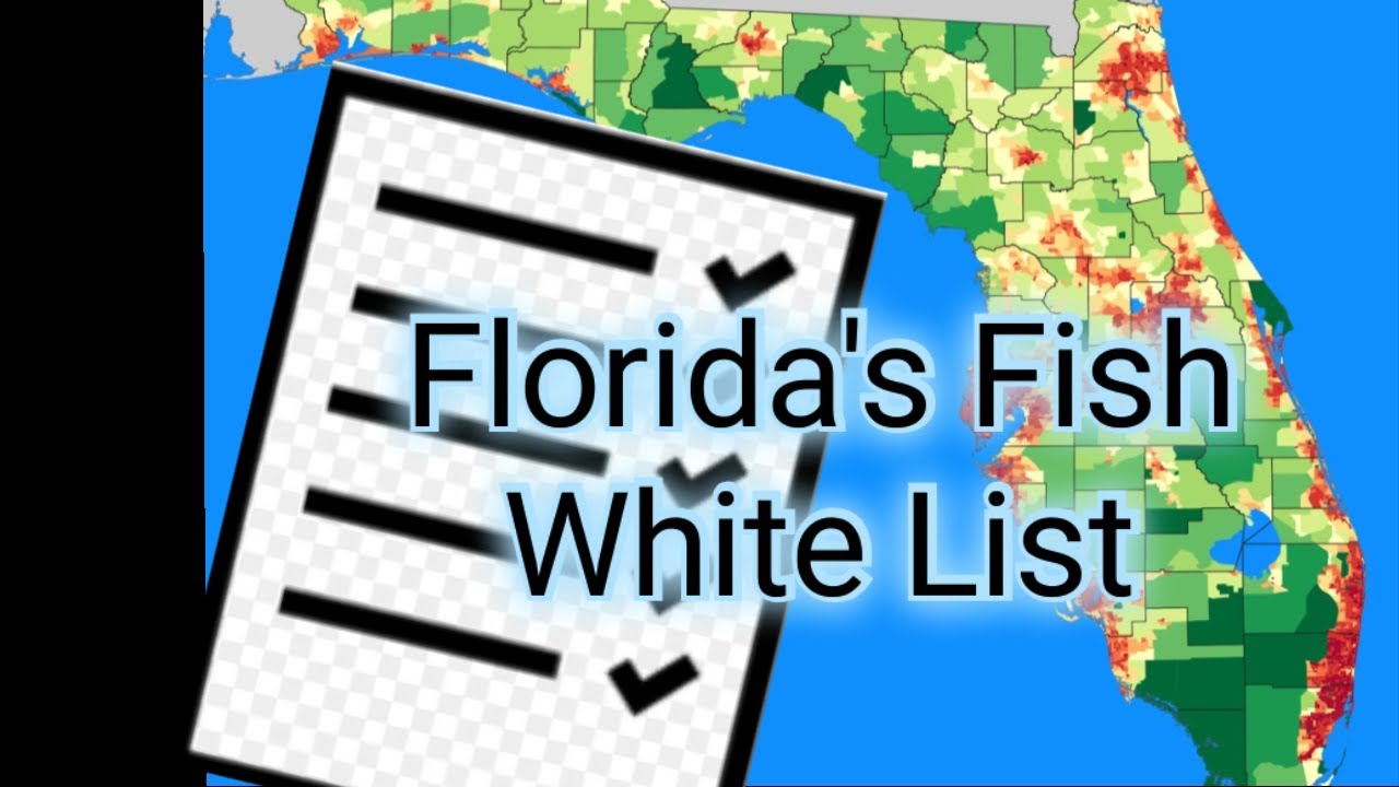 FLORIDA'S FISH WHITE LIST REVEALED!! - YouTube