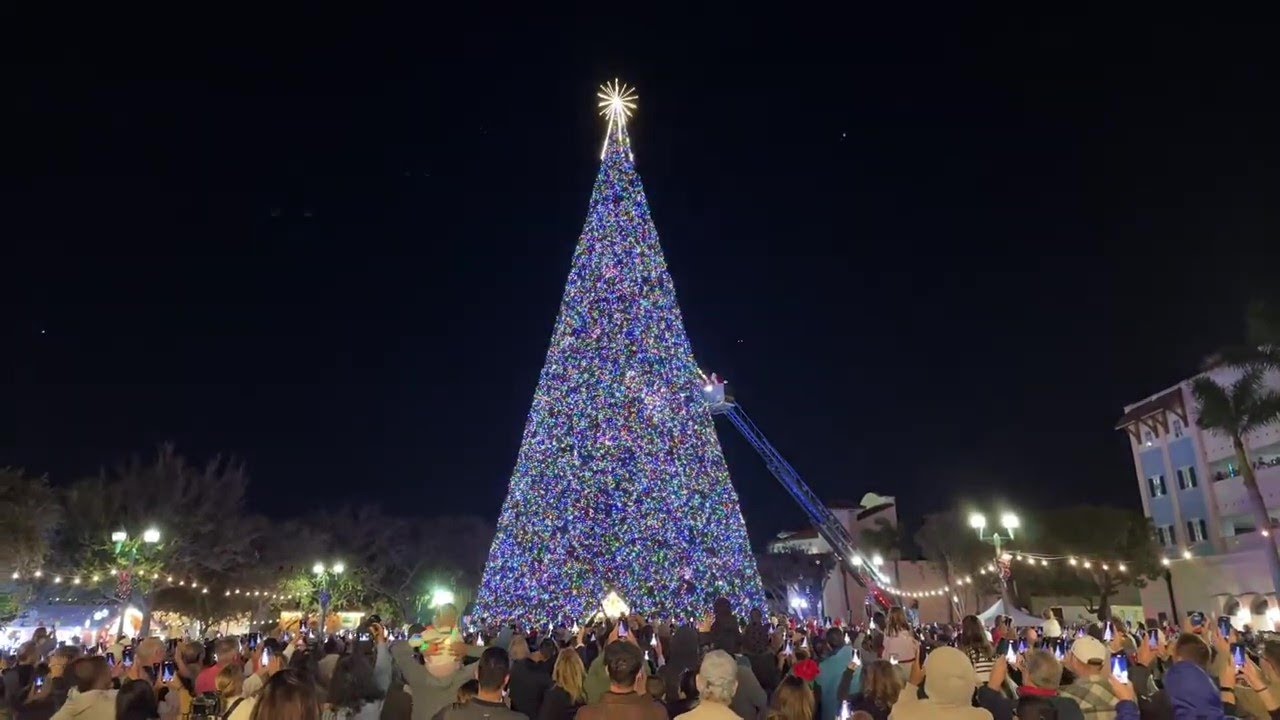 What's the BEST Way to Experience Delray Beach's Tree Lighting? - YouTube