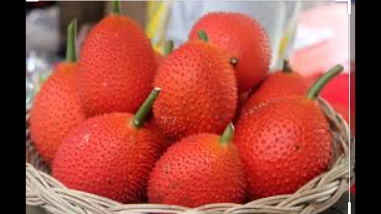 GAC Extraction Capsule from Vietnam - YouTube