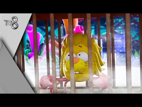 Kral Şakir Mikrop Avcıları | Cumburlop Tanıtımı