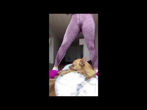 Try Not To Laugh Challenge #5