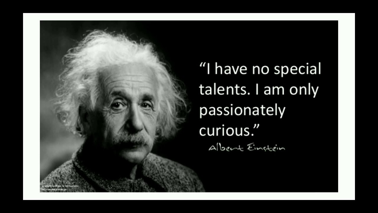 10 Life Skills we can learn from Cats - YouTube