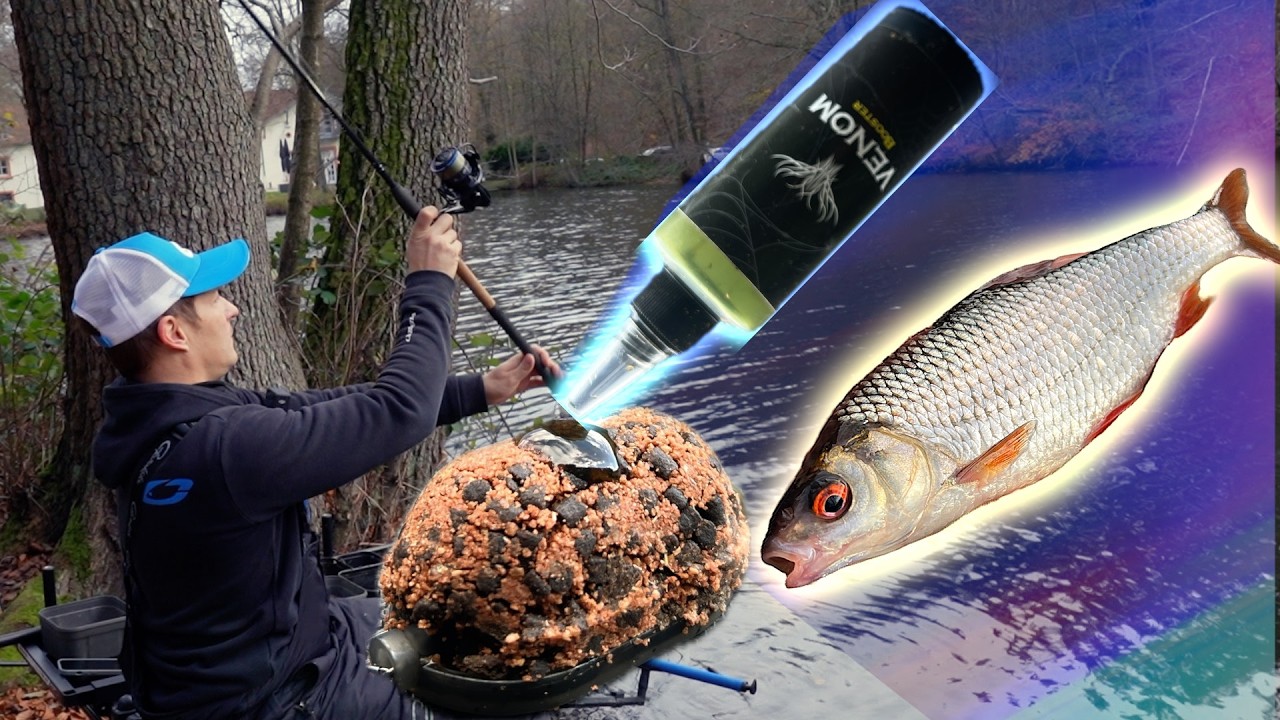 Weissfisch im Herbst - Stürmisches angeln am SEE - YouTube