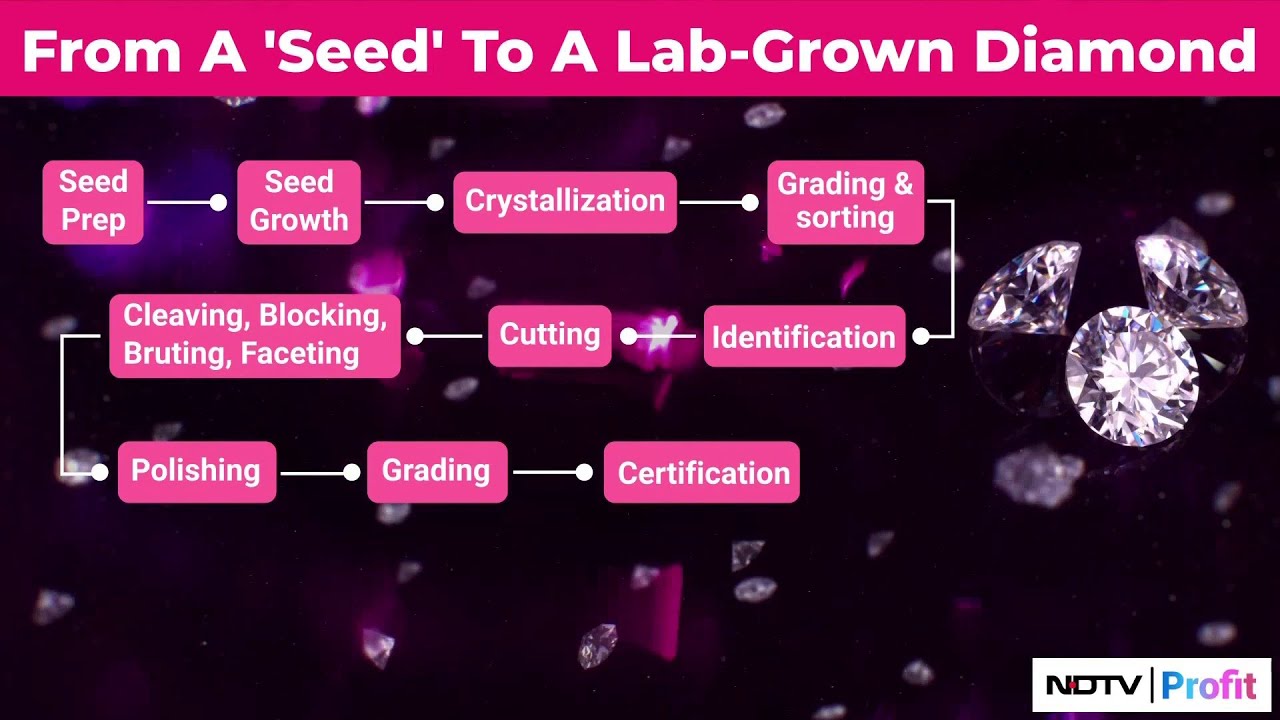 From A 'Seed' To A Lab-Grown Diamond : Visit to Greenlab Diamonds ...