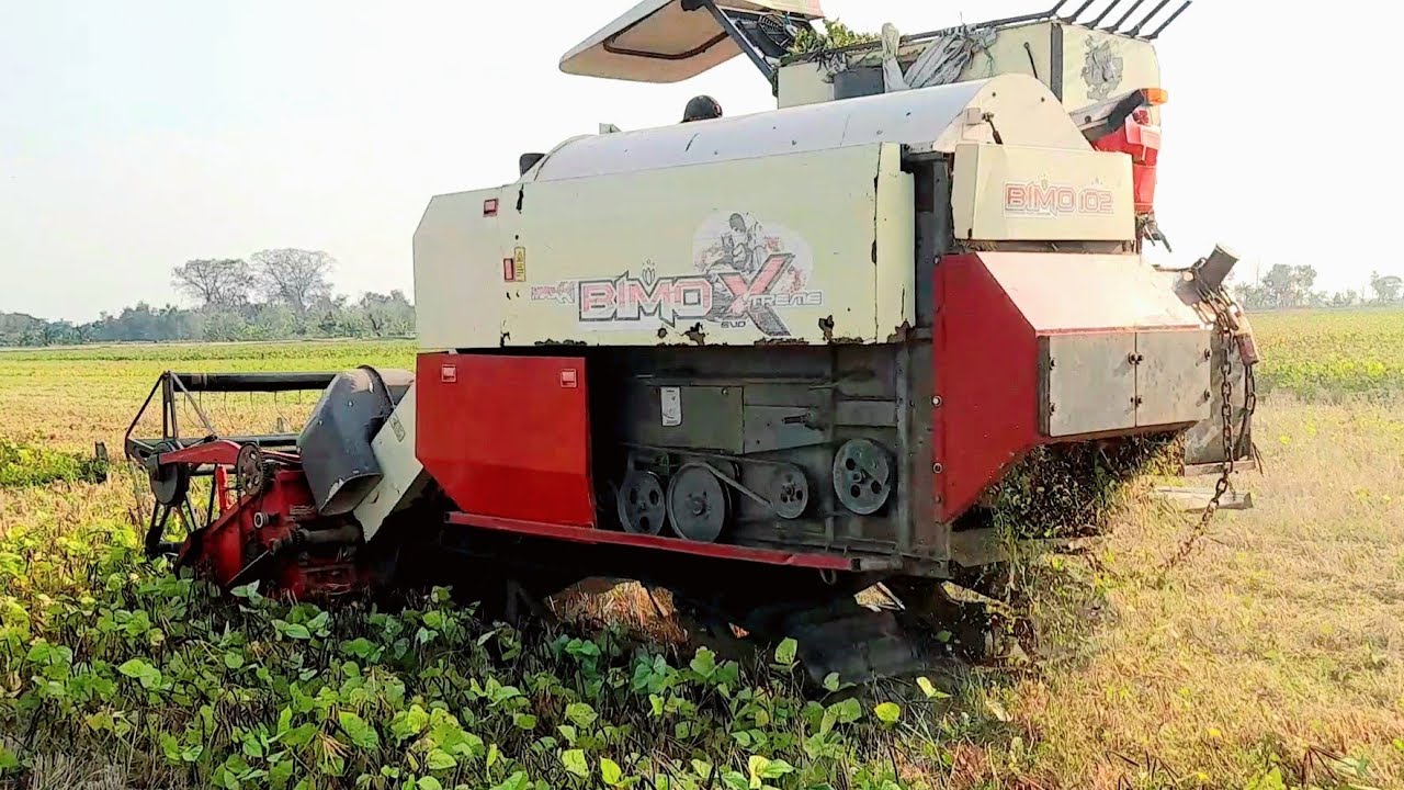 KOMBI SAWAH MAXXI BIMO 102 BABAT HABIS KACANG IJO#combineharvester ...