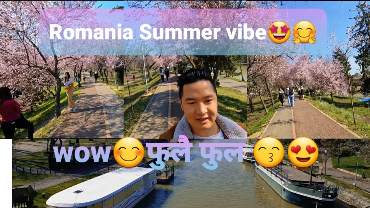 Romania🇷🇴 Summer vibe / फुलैपुल फुलेर बहिरतिरको महोल्🤗🤗🤩 - YouTube