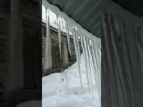 ❄️Kar, kar ve kar... (daha önceden çekilmiş kısacık videolar)