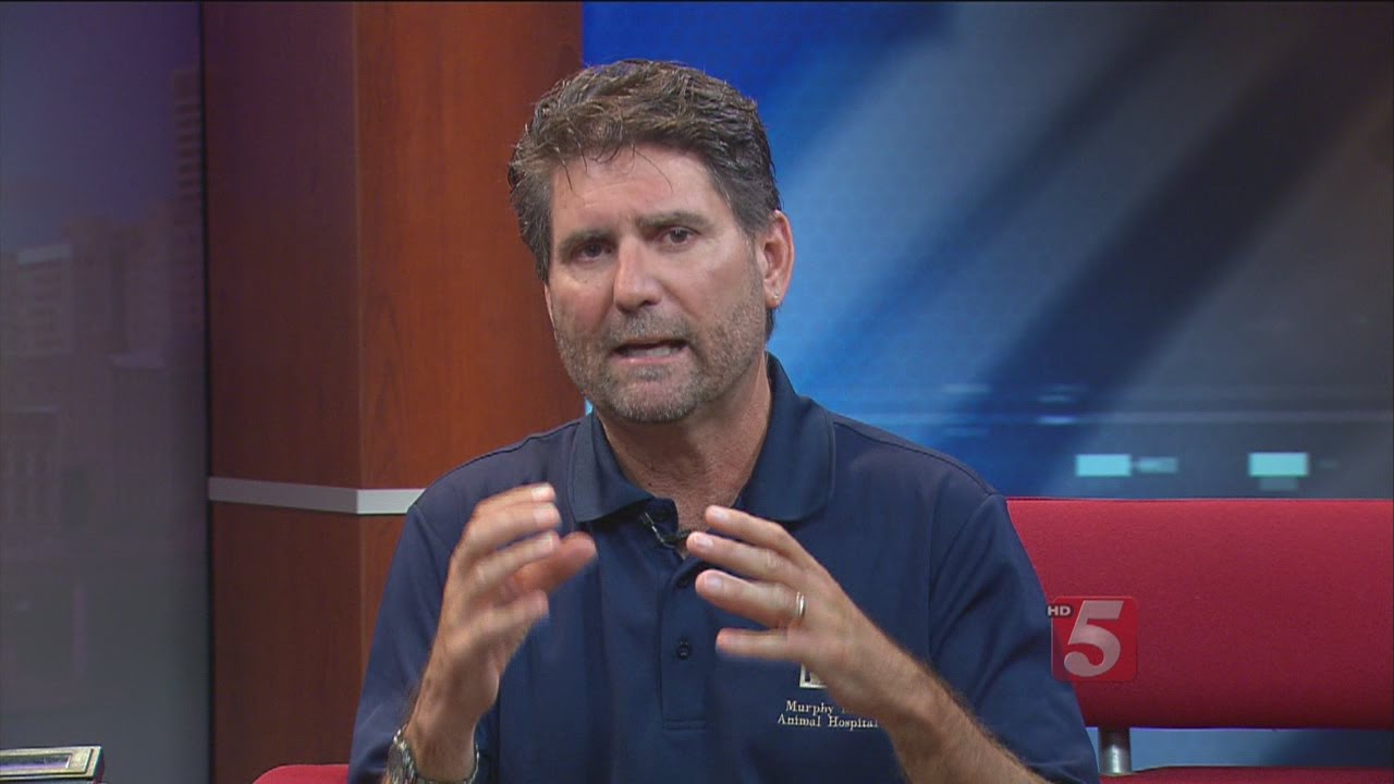 Open Phones With Veterinarian Dr. Craig Prior Monday July 21, 2014 ...