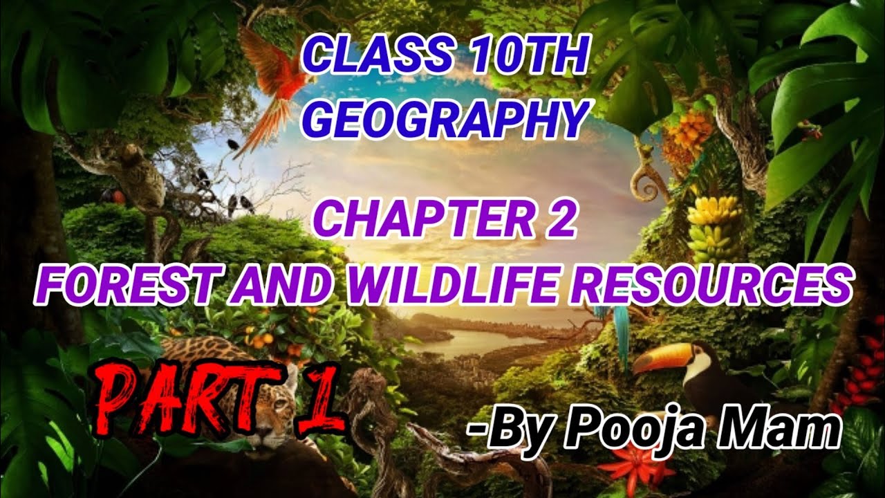 || Class 10th || Geography || Chapter 2 || Forests and Wildlife ...