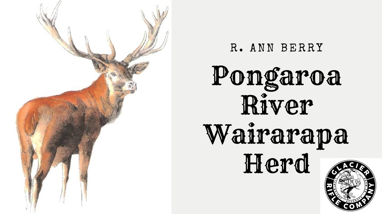 The Wairarapa Herd R Ann Berry; Pongaroa River, Tararua District North ...