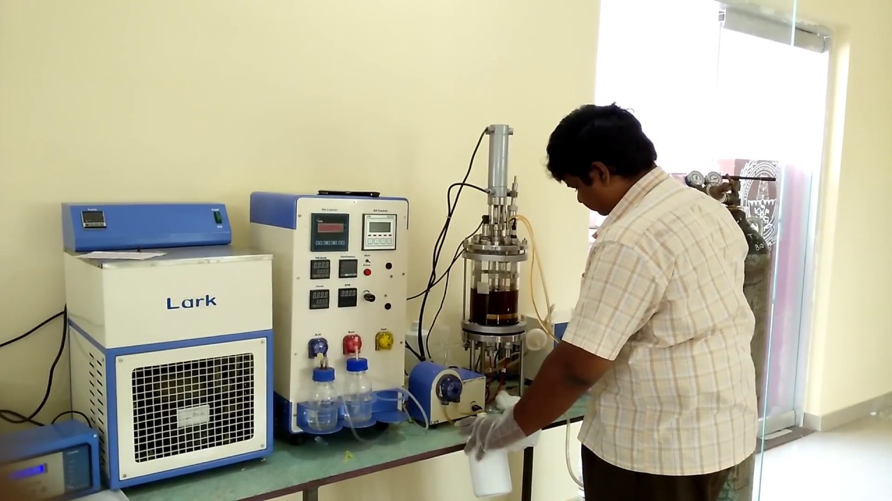 Biobutanol Production via ABE fermentation using Clostridium ...