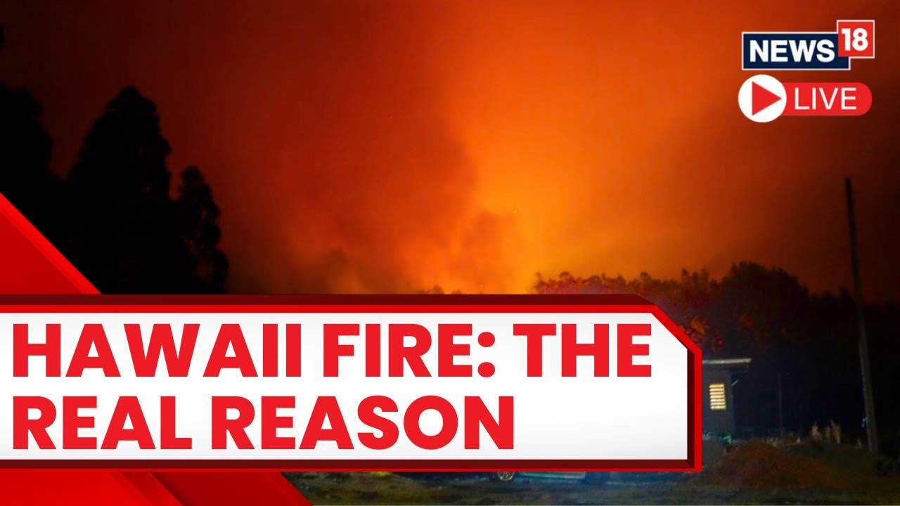 Maui Fires Today Live Maui Wildfires Death Toll Climbs To 55 Maui