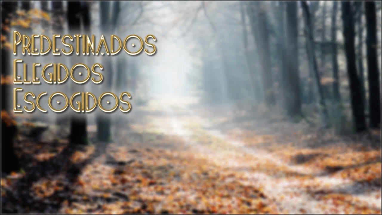 Predestinados, elegidos y escogidos - Parte 1 de 2 - YouTube