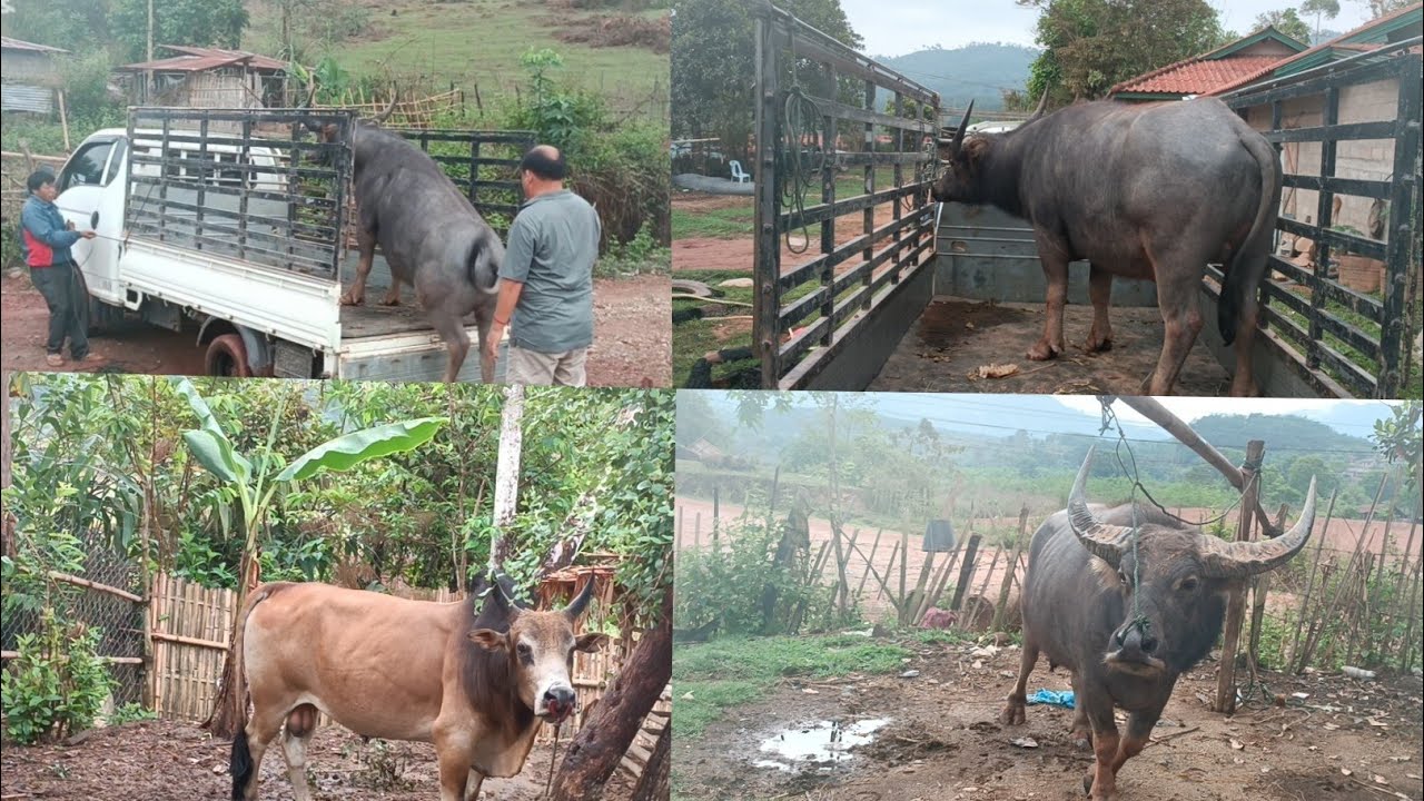 13 ເມສາ 2025 - YouTube