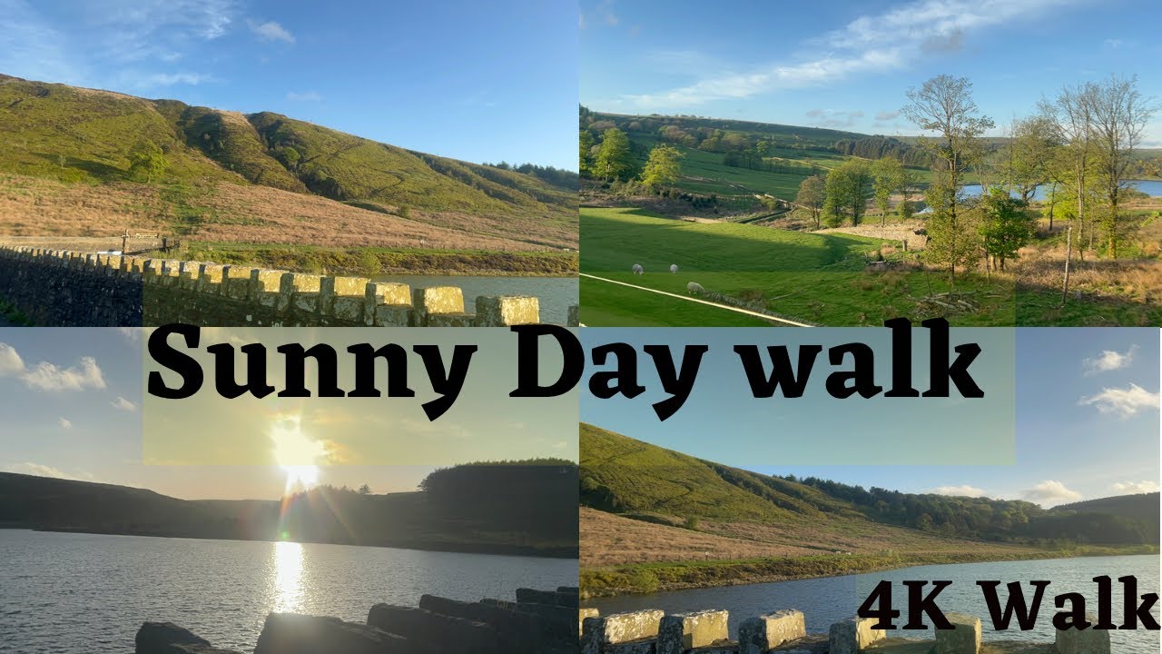 4k Walk ||Walk On A Summer Sunny Day With Nature Sound ( sunny day ...