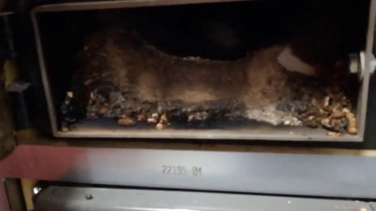 Leeren einer Aschebox bei einer OctoPlus Pelletheizung 2,9 - 15kW von ...