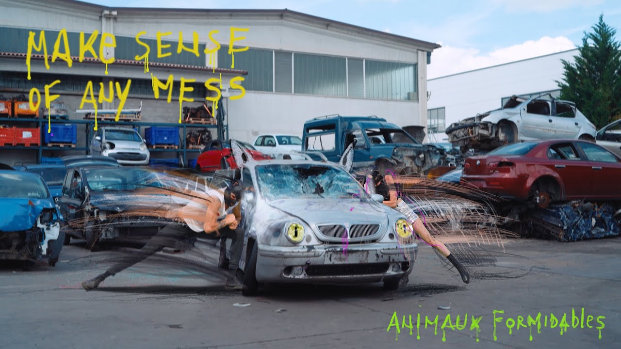 Animaux Formidables - Make Sense Of Any Mess - YouTube