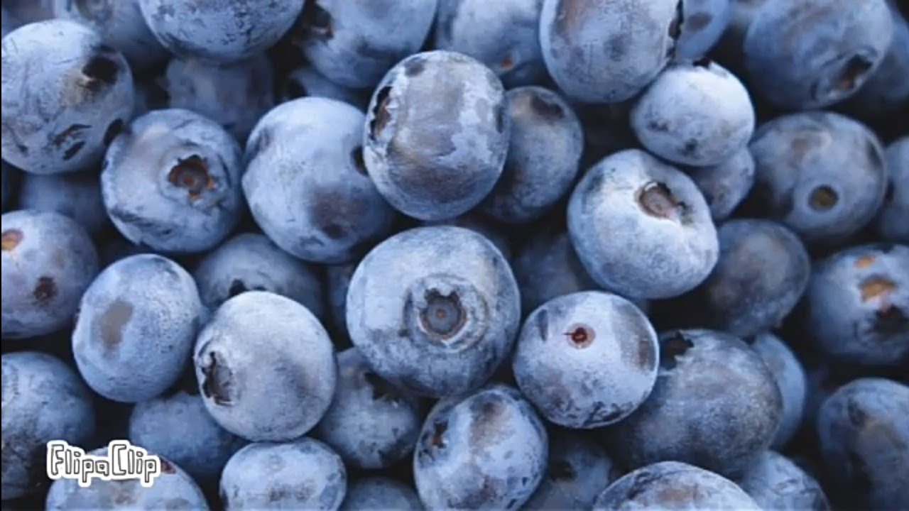 3 2 1 Go! [ORIGINAL ANIMATION MEME] - YouTube