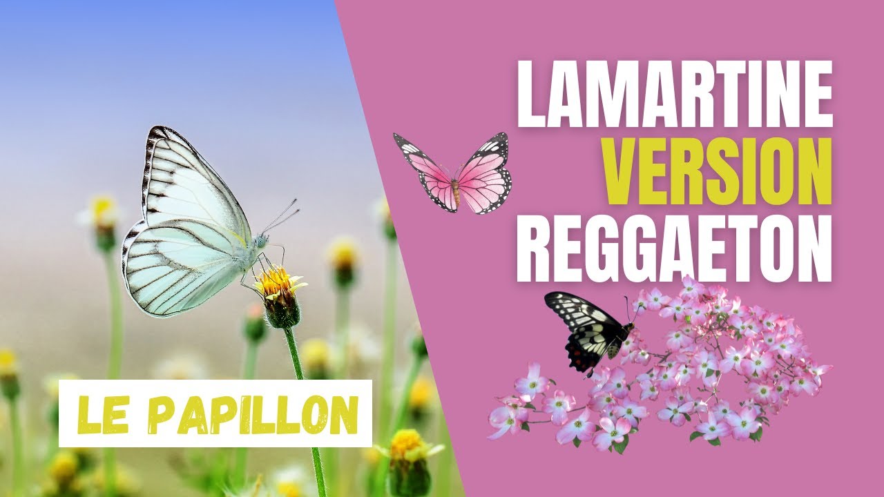 Le Papillon poème d'Alphonse de Lamartine version Reggaeton Tropical ...