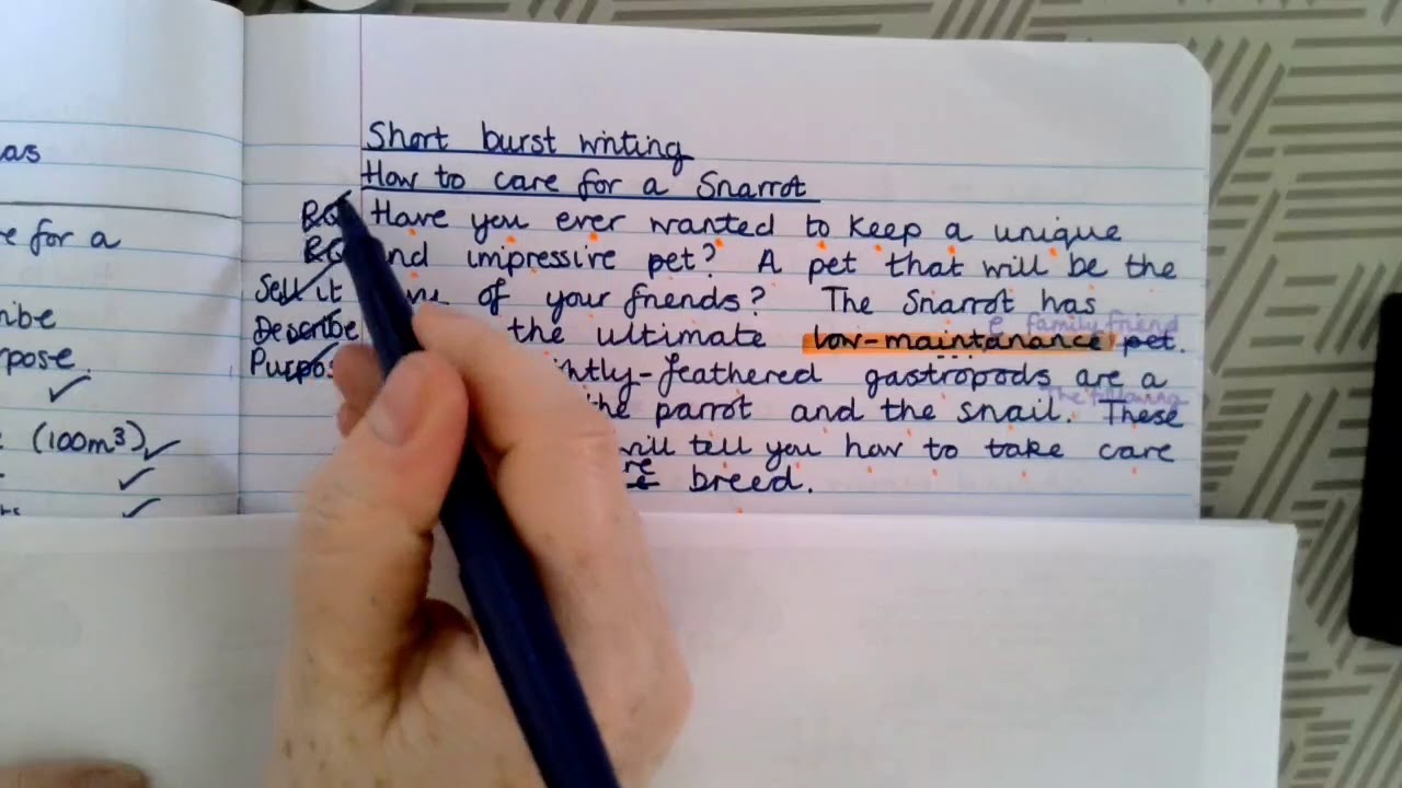 Y5/6 Eng Ins 2 Short Burst - YouTube