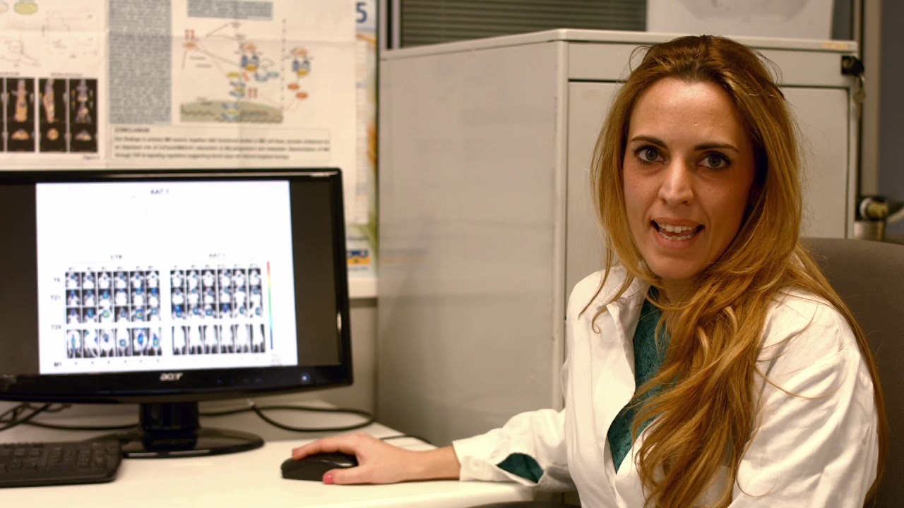 Massimo Zollo Brain Medulloblastoma - YouTube