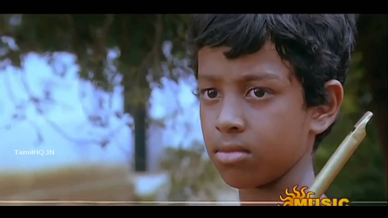 Aalolam Paadi TvRip Avarampoo 720p HD Video Song - YouTube