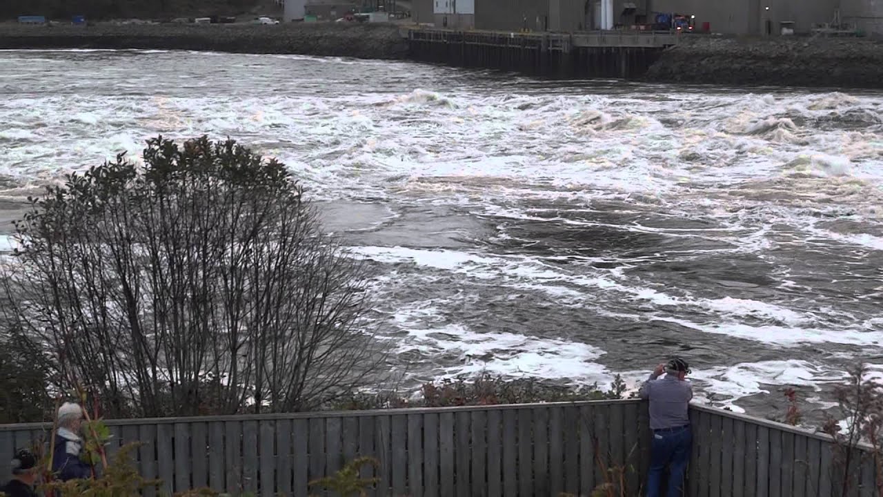 reversing rapids,St. Johns - YouTube