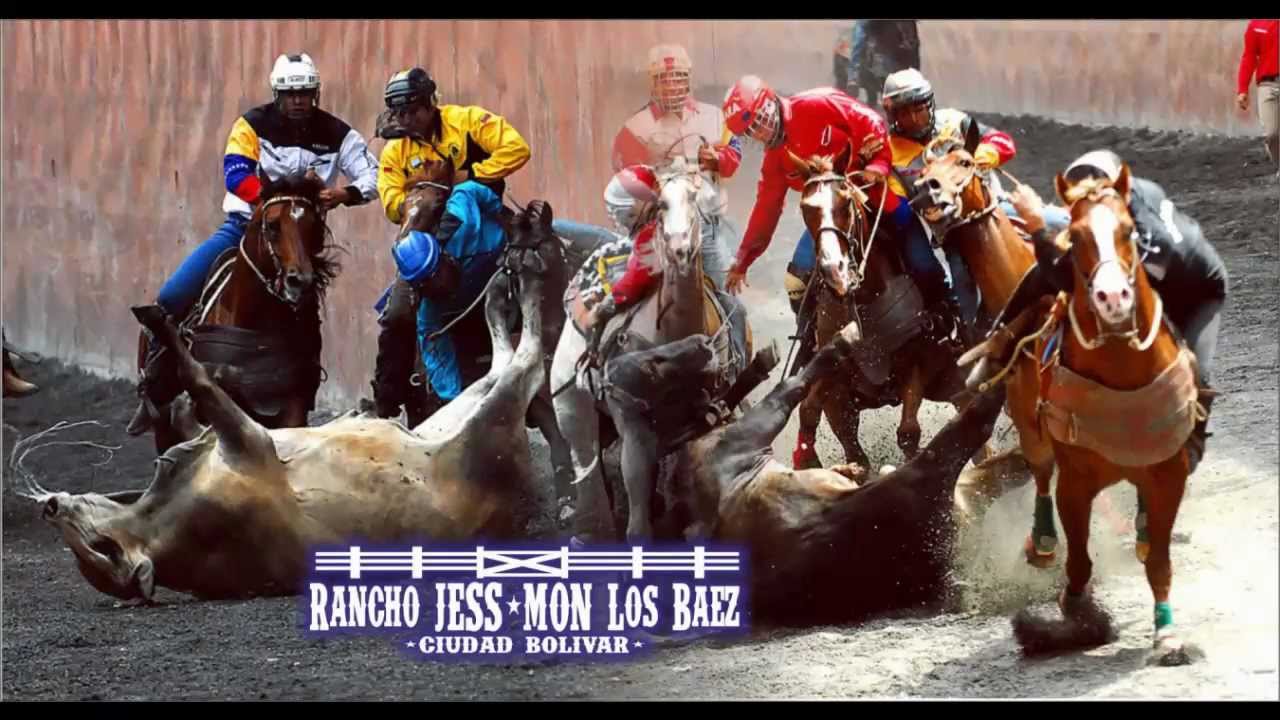 Toros Coleados El Zapoarazo 2012 - Ciudad Bolívar - YouTube