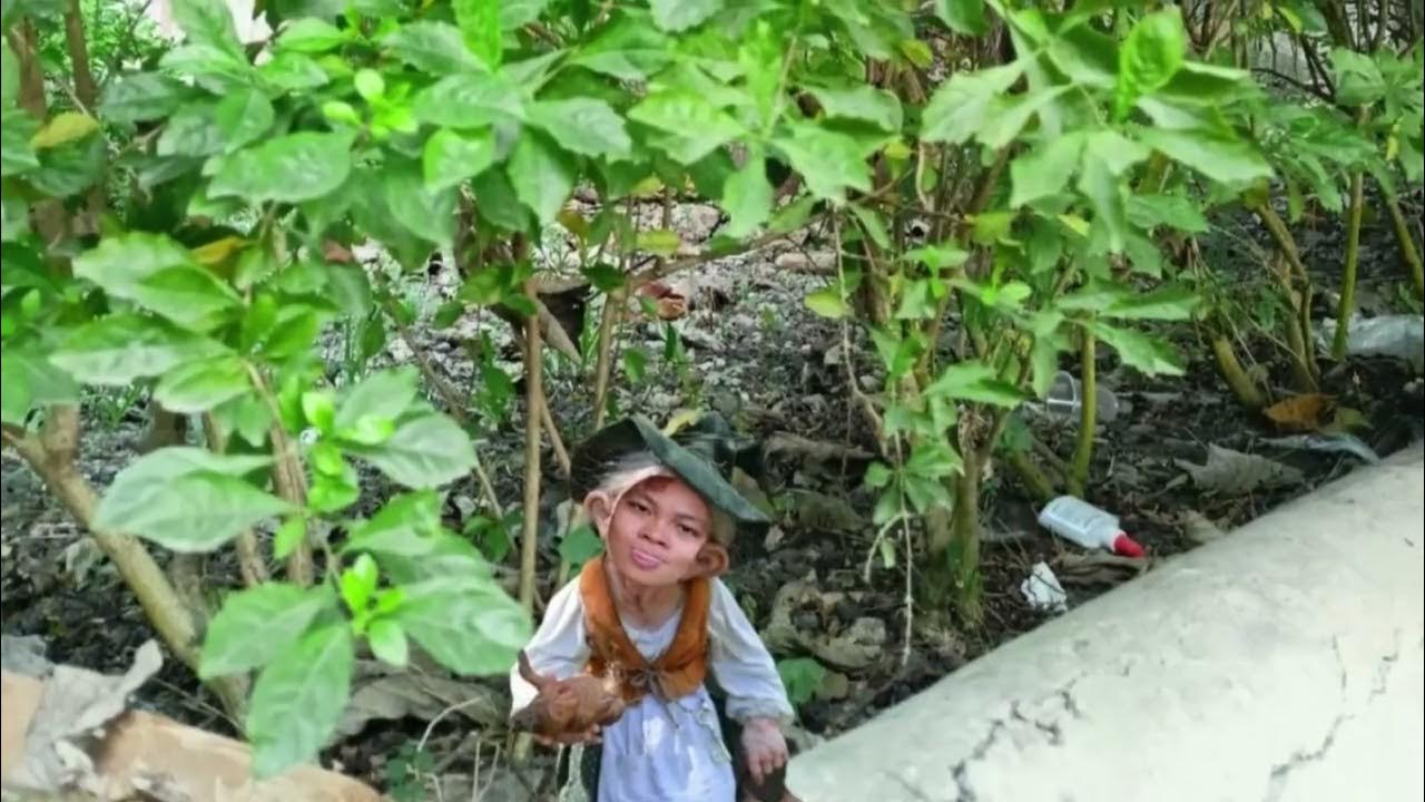 Ang Mahiwagang Bulaklak ng Matandang Babae - YouTube
