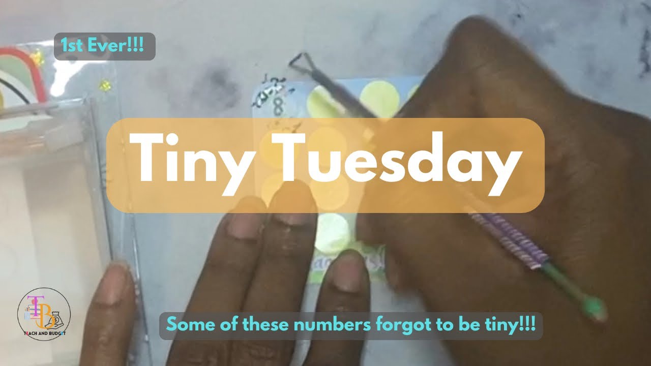 Tiny Tuesday | Mystery Savings - YouTube