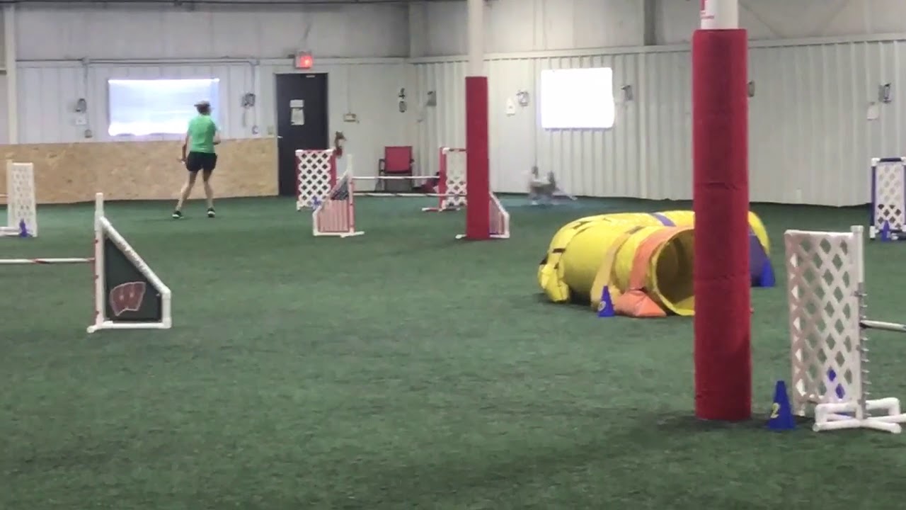Una - UKI Novice Jumpers NFC 6.24.18 - YouTube