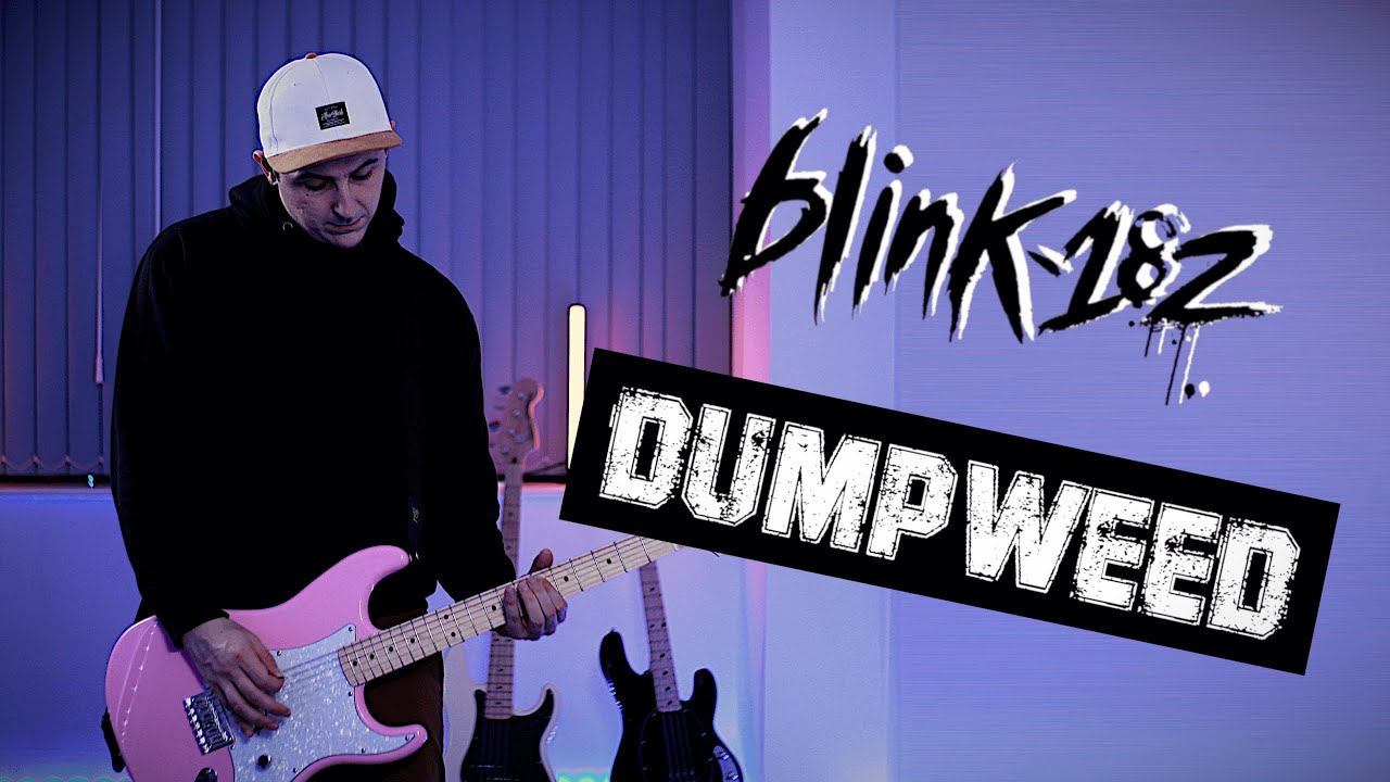 Dumpweed | blink-182 | Guitar Cover - YouTube