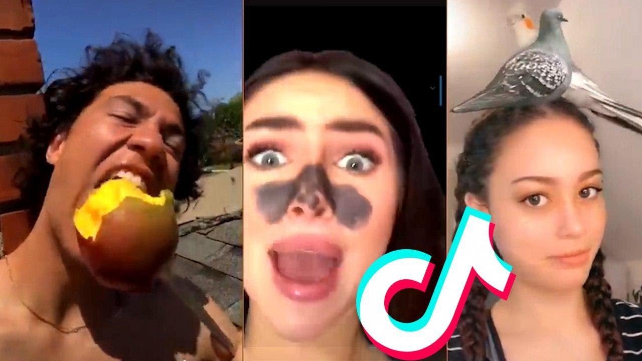 Funny Tik Tok to Make Your Day Better - YouTube