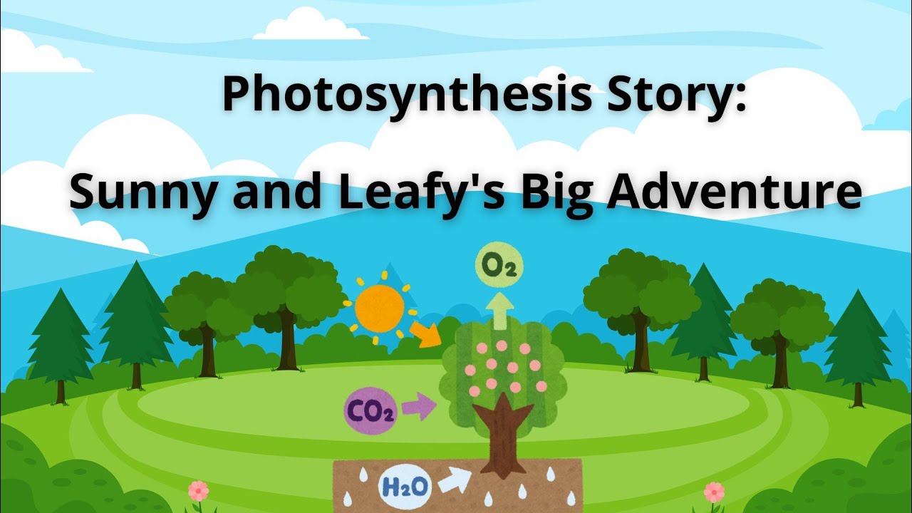 photosynthesis story: sunny and leafy's big adventure animated funny ...