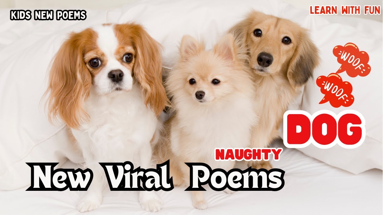 Kids New Viral Poem, Playful Pups in Action Funny Dogs Playing Adorable ...