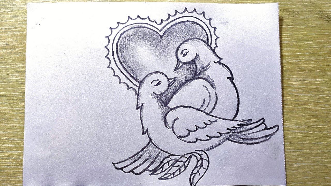 Beautiful Couple Bird Drawing/ How To Draw Bird With Love Step by Step ...