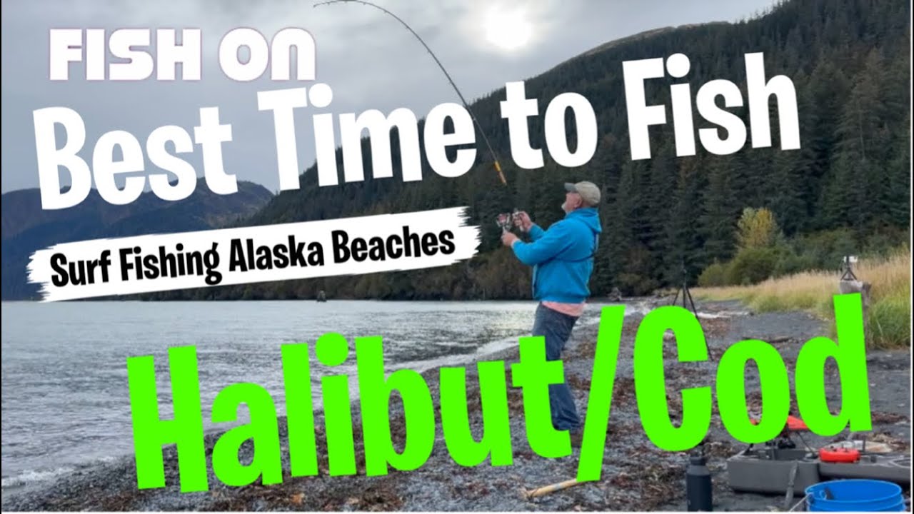 Best Time to surf fish Seward, Alaska halibut, cod - YouTube