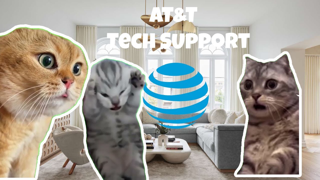 CAT MEMES: CALLING AT&T🤣😂 - YouTube