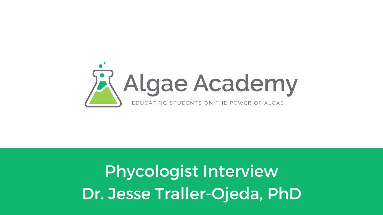 Phycologist Interview - Dr. Jesse Traller- Ojeda - YouTube