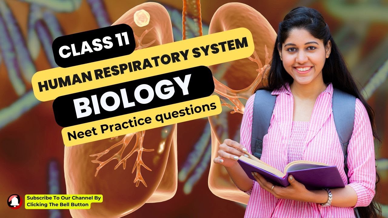 Human Respiratory System Class 11 | Biology Chapter 17 | Breathing and ...