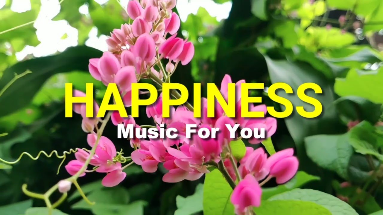 HAPPINESS | Instrumental Praise Music | Happy Calm Music | Pleasant ...