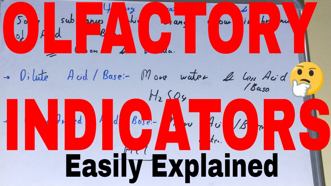 What Are Olfactory Indicators Give An Example Olfactory Indicators what-are-olfactory-indicators-give-an-example-olfactory-indicators