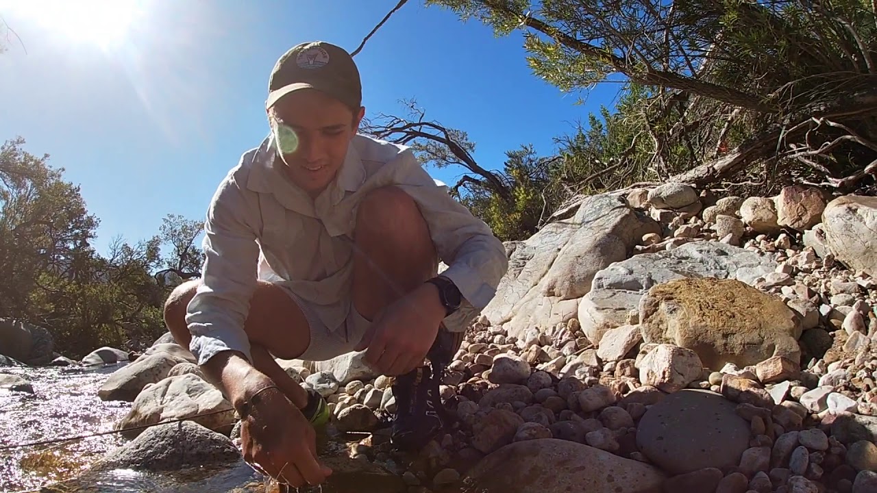 Fishing for Trout, South Africa - catching trout on dry flies in ...