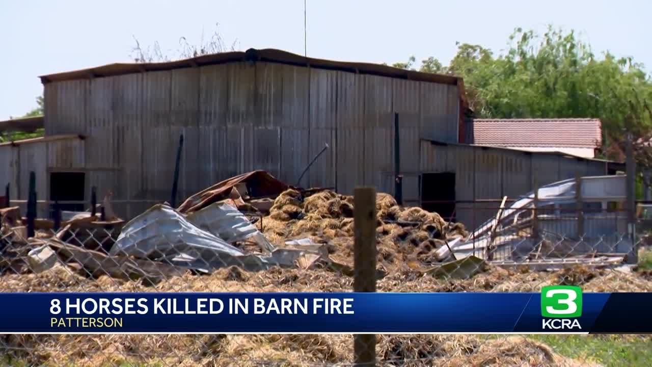 Barn fire kills 8 horses in Stanislaus County - YouTube