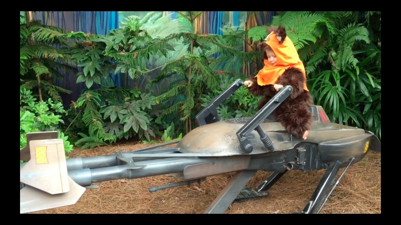 Star Wars Ewok Run Amok - Logan's Halloween Costume - YouTube