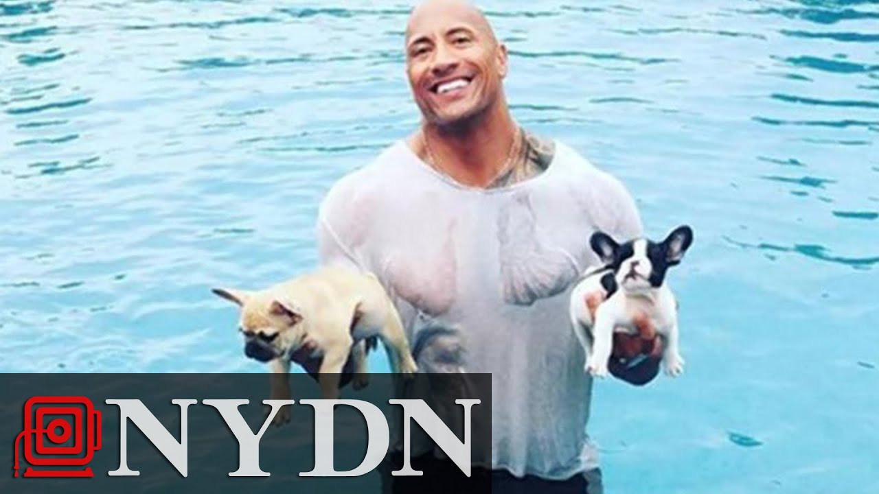 Dwayne Johnson Saves His Puppies From Drowning in Pool - YouTube