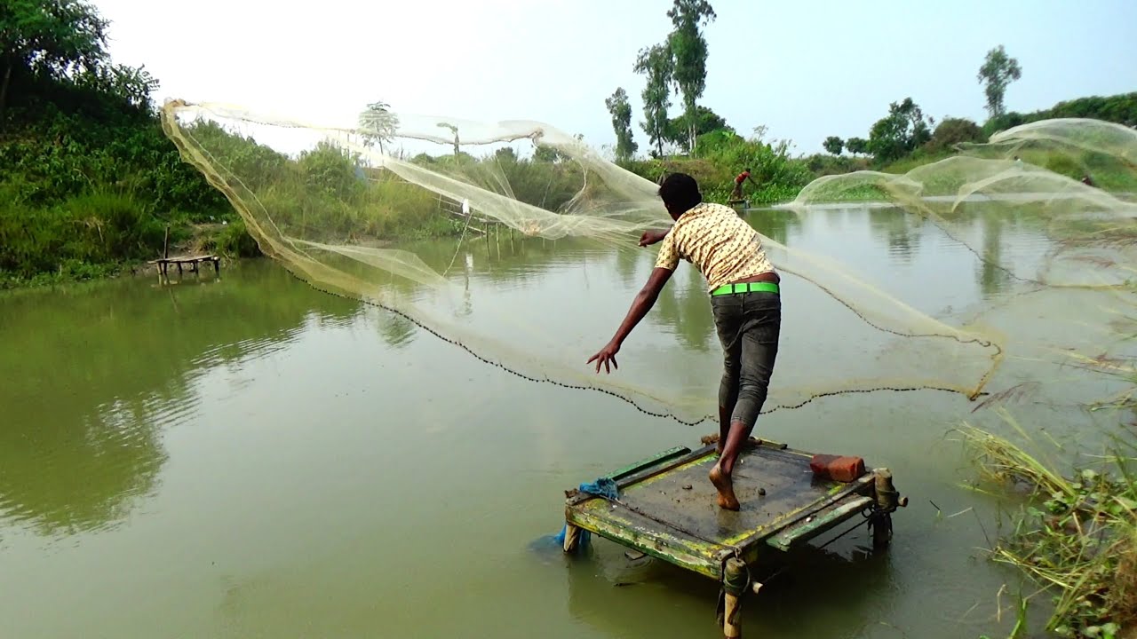 Best Net Fishing Video - Traditional Catching Fish in The River - YouTube