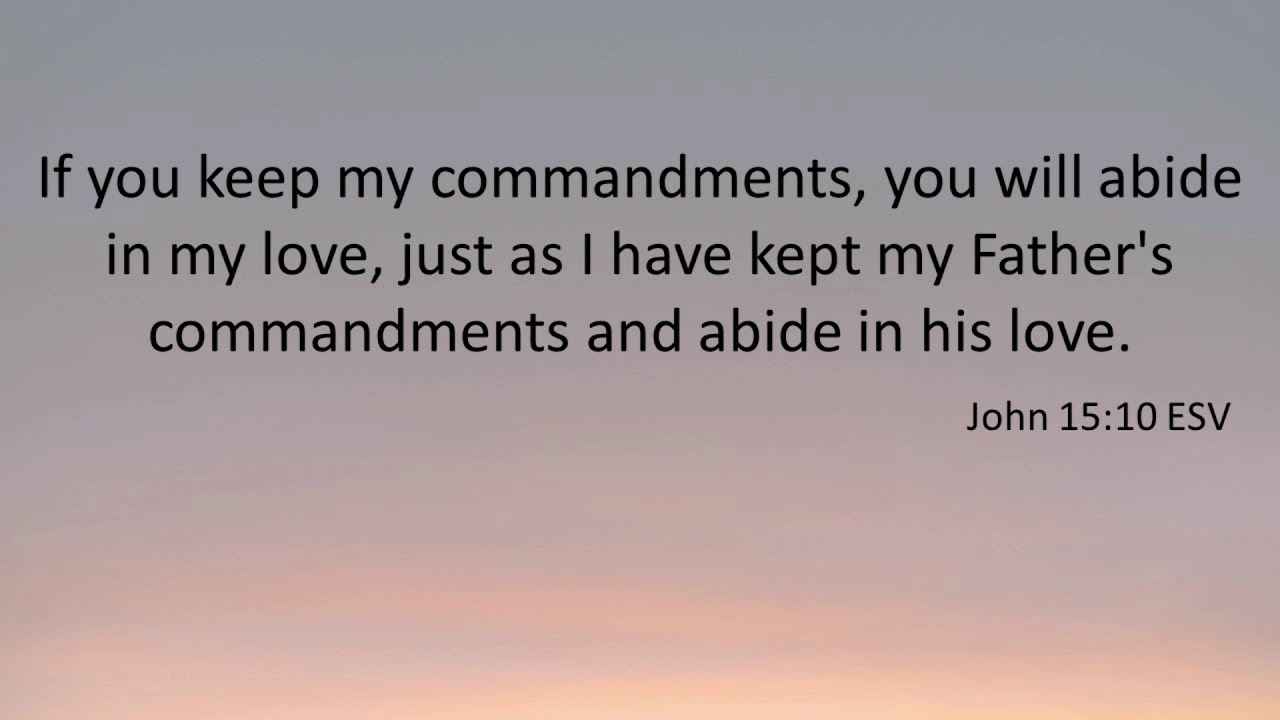 John 15 8 11 Scripture Reading YouTube John 15 8 11 Scripture Reading YouTube