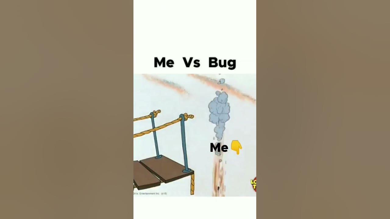 Bug Code Stackoverflow Bug Programming Program Coding Programmingmemes Programminghumor
