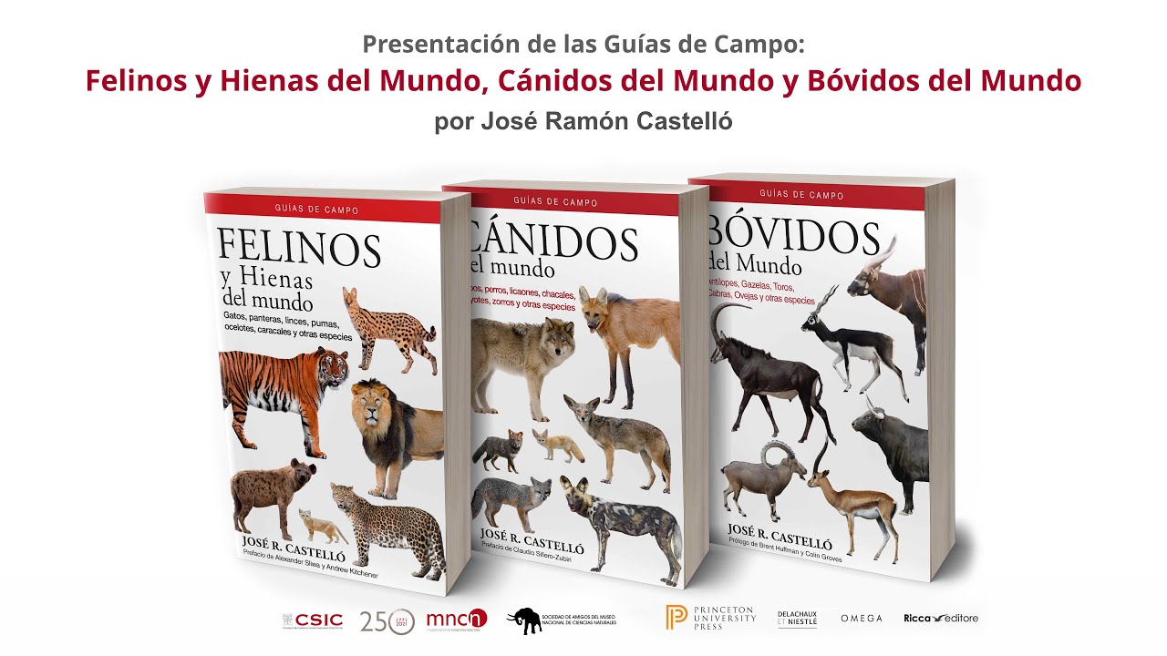 Presentación de las Guías de Campo:Felinos y Hienas del Mundo, Cánidos ...